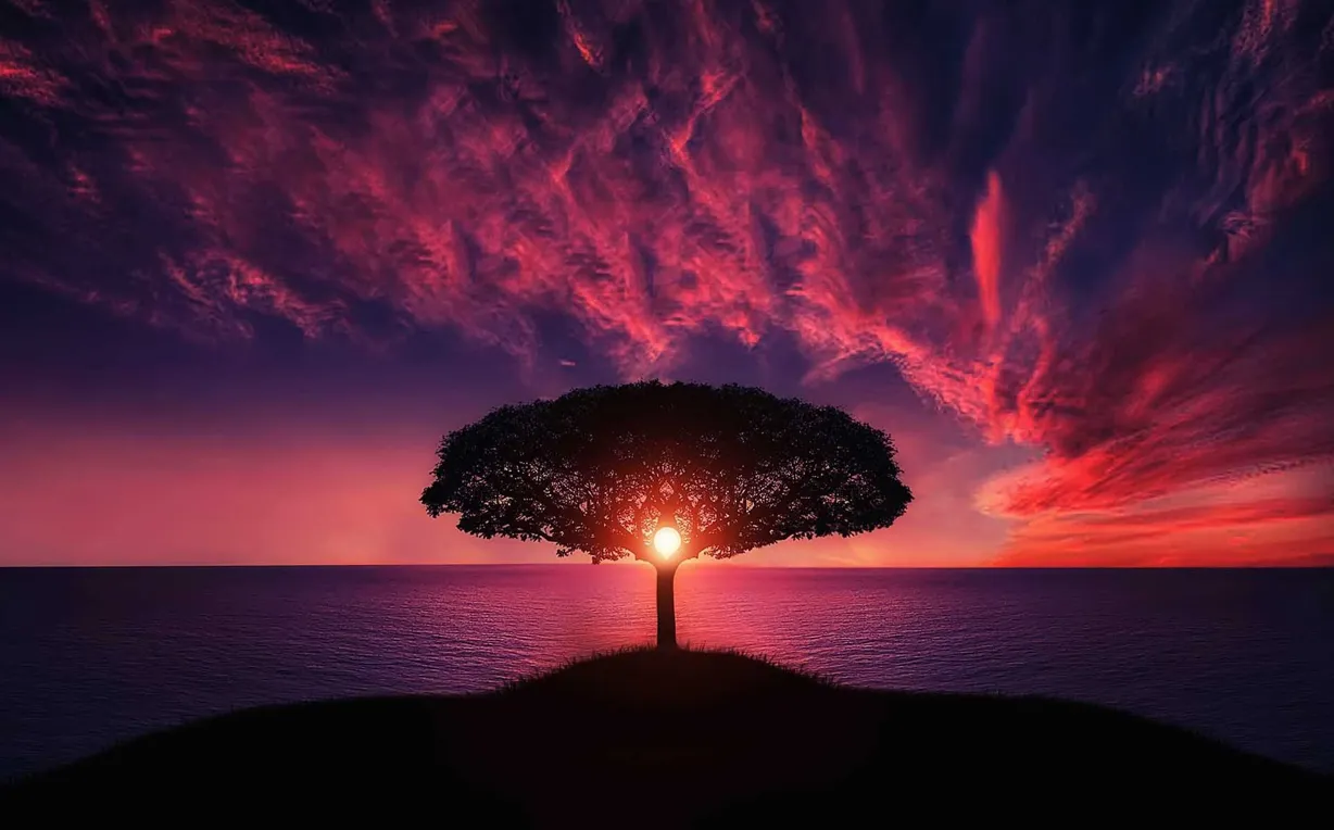 AI Video Background Changer Online | Video Background Changer